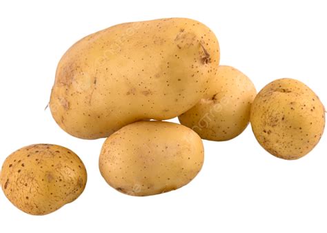 맛있는 유기농 감자 벡터 감자 포테이토 음식 Png 일러스트 및 이미지 에 대한 무료 다운로드 Pngtree