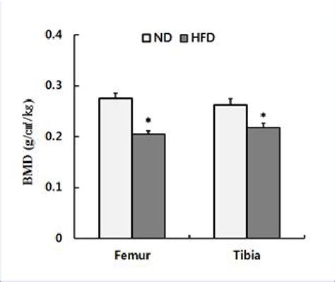 Tmicro Computed Tomography Derived Trabecular Bone Mineral Density At Download Scientific