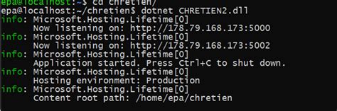 Comment Déployer Net 5 Api Sur Linux Ubuntu 2004 Nginx Linode Partie1