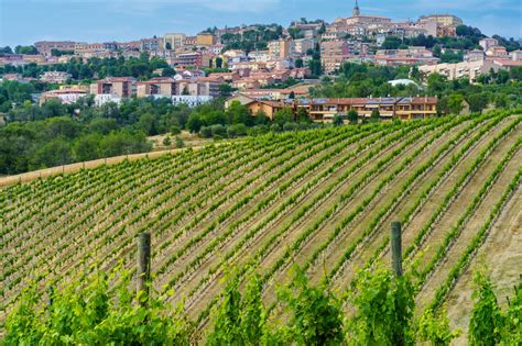 Saint Rhémy En Bosses Cosa Vedere Storia E Borghi
