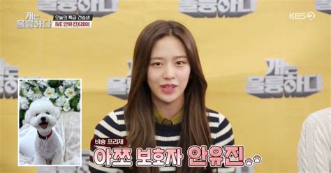 아이브 안유진 별명골든 리트리버키 크고 웃는 것 닮아서 Ft침 개훌륭