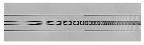 Chiral Fibers Fosco Connect