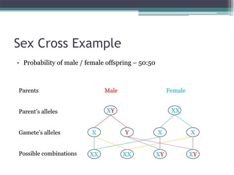 PPT Genetic Diagrams PowerPoint Presentation Free Download ID