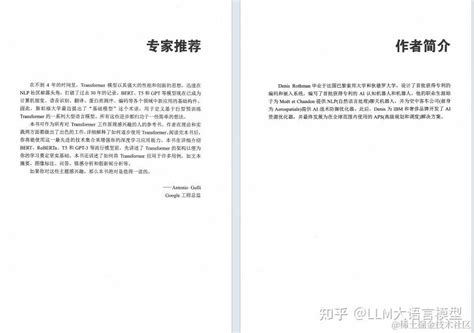 外网都在学的大模型黑书，豆瓣超高分推荐的llm入门书 Csdn博客