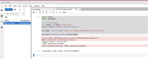 Problem With Image Visualisation On Jupyterlab 4010 Itk