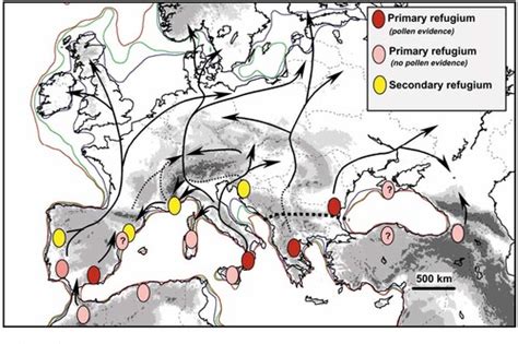 Latitude Gradients Flashcards Quizlet