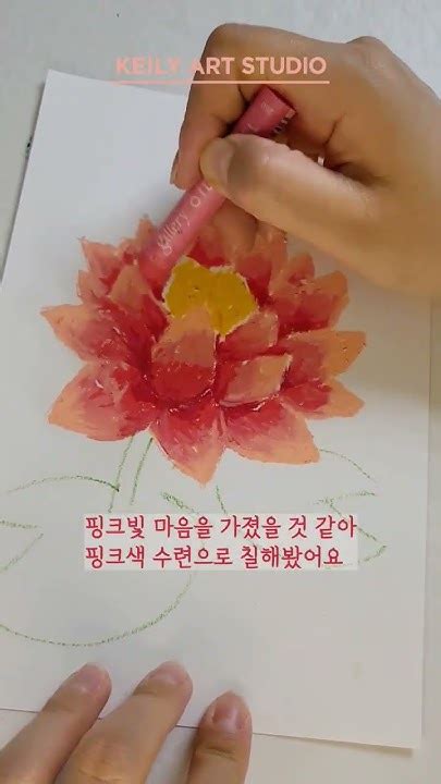 4월 27일 탄생화 🪷수련🪷 꽃말은 청순한 마음🩷 그림그리기 탄생화 오일파스텔 오일파스텔드로잉 오일파스텔초보 Birthflower Oilpastel