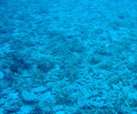 Papahanaumokuakea Marine National Monument Ramp Cruise 2009