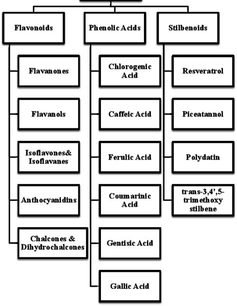 Classification Of Polyphenols Download Scientific Diagram