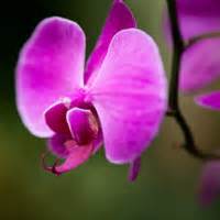 Bit Depth Explained In Depth Envato Tuts