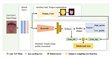 Figure 3 From Automatic Tongue Image Quality Assessment Using A Multi Task Deep Learning Model