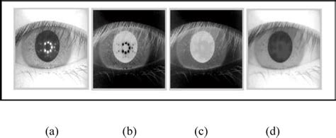 Figure 1 From Accurate Pupil Boundary Detection Using Angular Integral