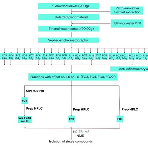 Isolation Pattern For Compounds 1 11 From Entada Africana Leaves