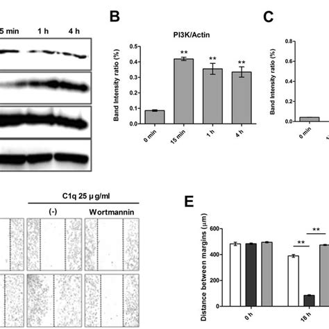 Chemical Structure Of Minocycline Hydrochloride Mh The Blue Box Download Scientific Diagram