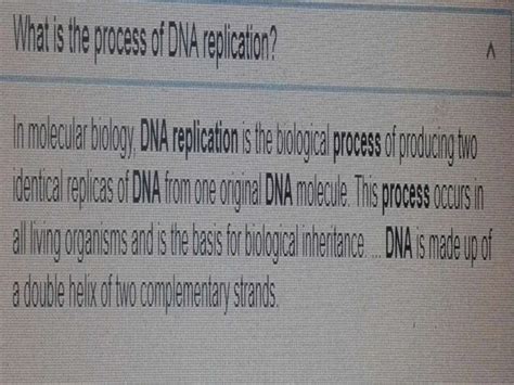Dna Replication In Prokaryotes And Eukaryotes Pptx