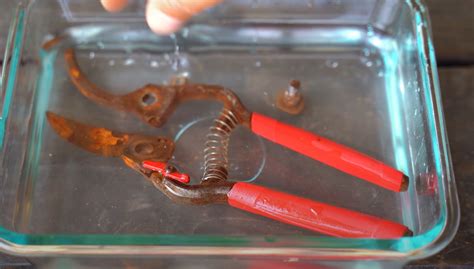 How To Keep Garden Tools From Rusting GardenProfy