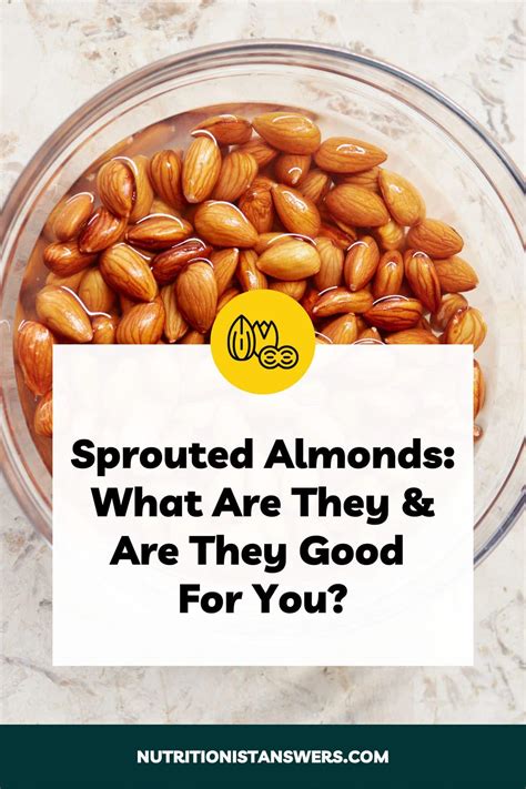 Pecans Vs Almonds Whats The Difference Nutritionist Answers