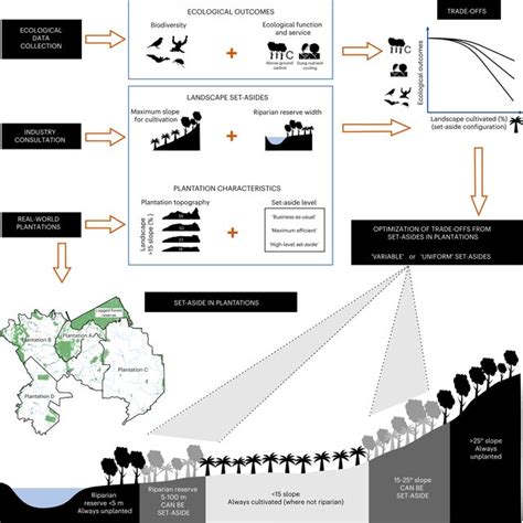 Study Workflow Study Workflow Showing The Steps Described In Methods