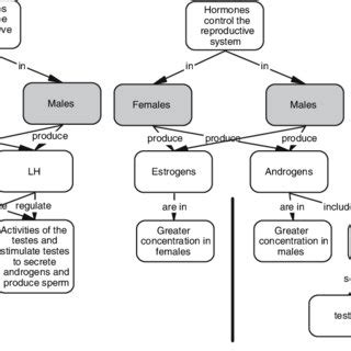Concept Map Of Hormones Download Scientific Diagram