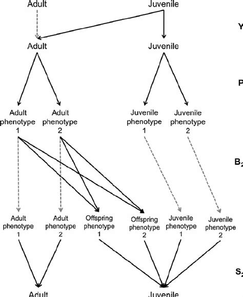 Cyclic Relationship Graph