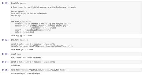 Usage MetaCall Jupyter Kernel Documentation