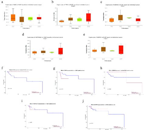 Subgroup Expression Analyses And Survival Analyses Of Hub Genes In