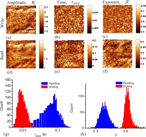 Color Online Spatially Resolved Mapping Of Polarization Dynamics In