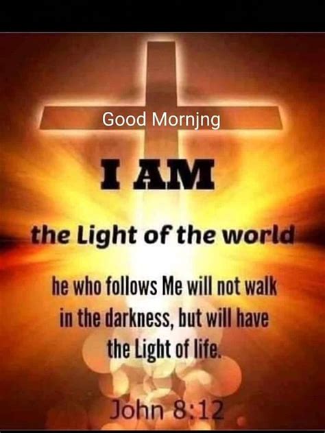 ☦️ ️‍🔥 ️🌿🕊🌿💖🙏🏼💛 John 8 12 Nasb 95📖💌 🌿jesus Is The Great I Am And The