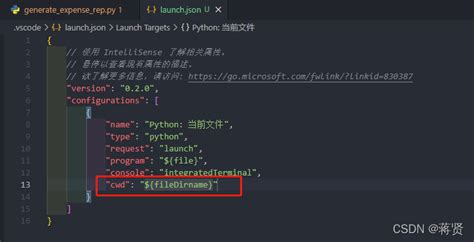 修改vscode运行python文件时，终端打开的默认地址python Cwd Filedirname Csdn博客