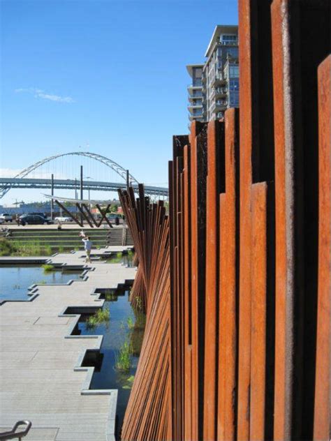 海绵城市系列：5分钟了解什么是雨水花园 搜狐大视野 搜狐新闻