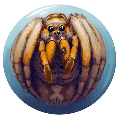 Spider Sphere By Nishear On Deviantart