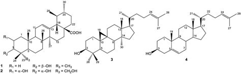 Chemical Structure Of Isolated Compounds 1 4 Download Scientific Diagram