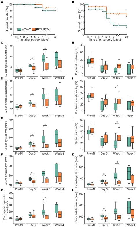 Frontiers Lack Of Stat1 Co Operative Dna Binding Protects Against
