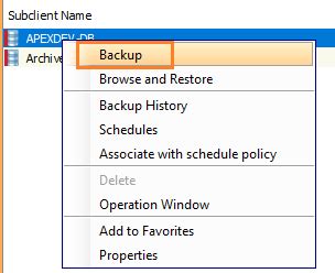 Table Level Restore In Oracle RAC Using Commvault IT Noesis
