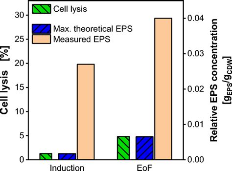 Cell Lysis Percentage During Fermentation Process And Derived Maximal
