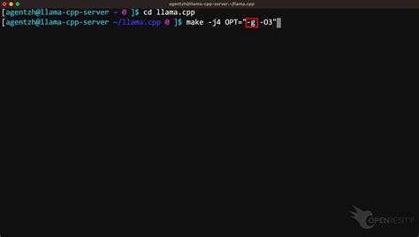 cpu 時間是如何耗費在 llama cpp 程式和 llama2 模型內部的（使用 openresty xray） openresty