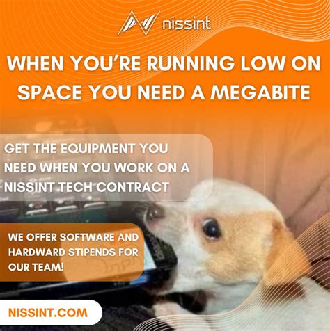 Nissint Technologies Llc On Linkedin Softwareengineer Softwaredeveloper Techmeme