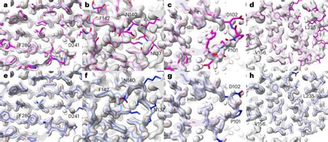 Yann Abraham On Linkedin Alphafold Predictions Are Valuable Hypotheses And Accelerate But Do Not