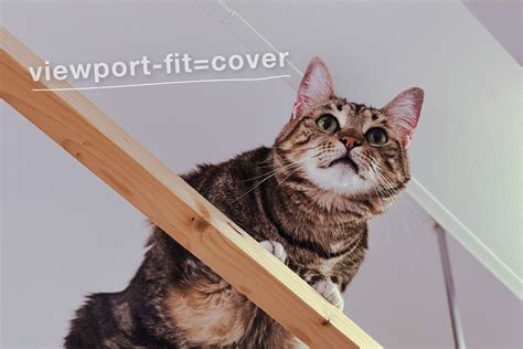 viewport fit coverで対応iPhoneのSafe Area問題 メモ いがわ