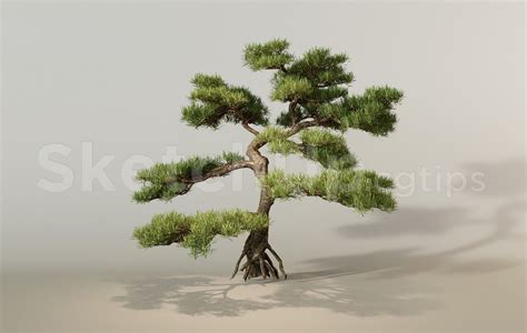 11291 Free Sketchup Tree Models Download