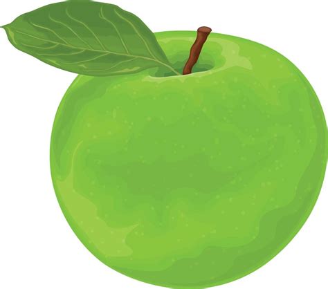 Adobe Illustrator Artwork 15034285 Vector Art At Vecteezy