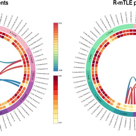 Connectogram Of Significant Pairwise Functional Connectivity Fc