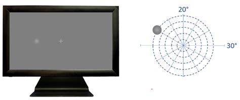 Peripheral Contrast Sensitivity Metropsis