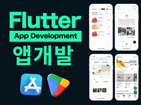 Flutter 어플 개발 해 드립니다 크몽
