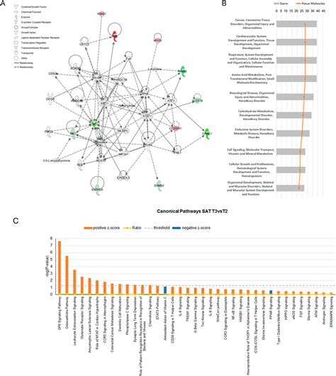 Functional Categorization Of Differentially Expressed De Genes In Download Scientific Diagram