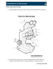 Exploring Microscope Basics Pre And Post Lab Insights Course Hero