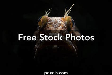 Underwater Detection Photos Download The Best Free Underwater