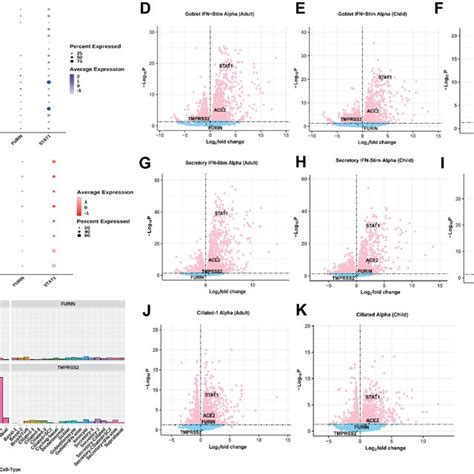 Expression Of Sars Cov 2 Entry Related Genes A B Relativescaled