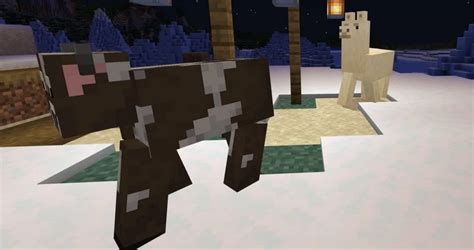Dynamic Animations Addon For Minecraft Pe 1212