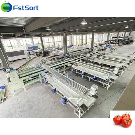 Tomato Grading Size Grader Machine Industrial Sorter Classifier Pineapple Grader Fruit Weighting